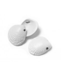 Colored Cockle Element Motif - Rintintin - Υλικά για κοσμήματα ...